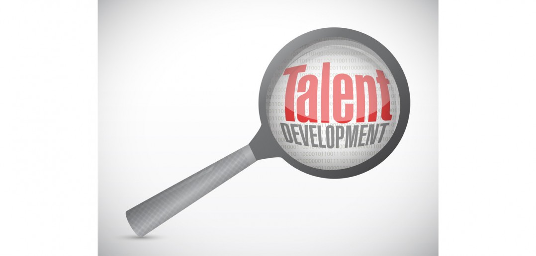 Talent Development in Procurement/Purchasing/Strategic Sourcing/Supply ...